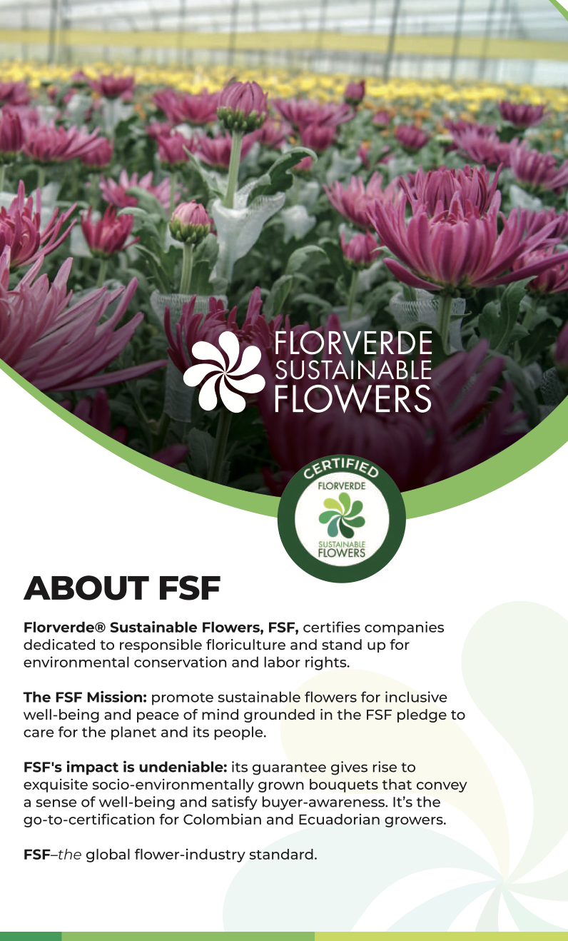 Florverde Sustainable Flowers: Internationally Recognized ...