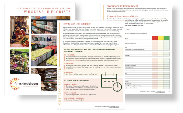 Sustainability Planning Templates | Sustainabloom